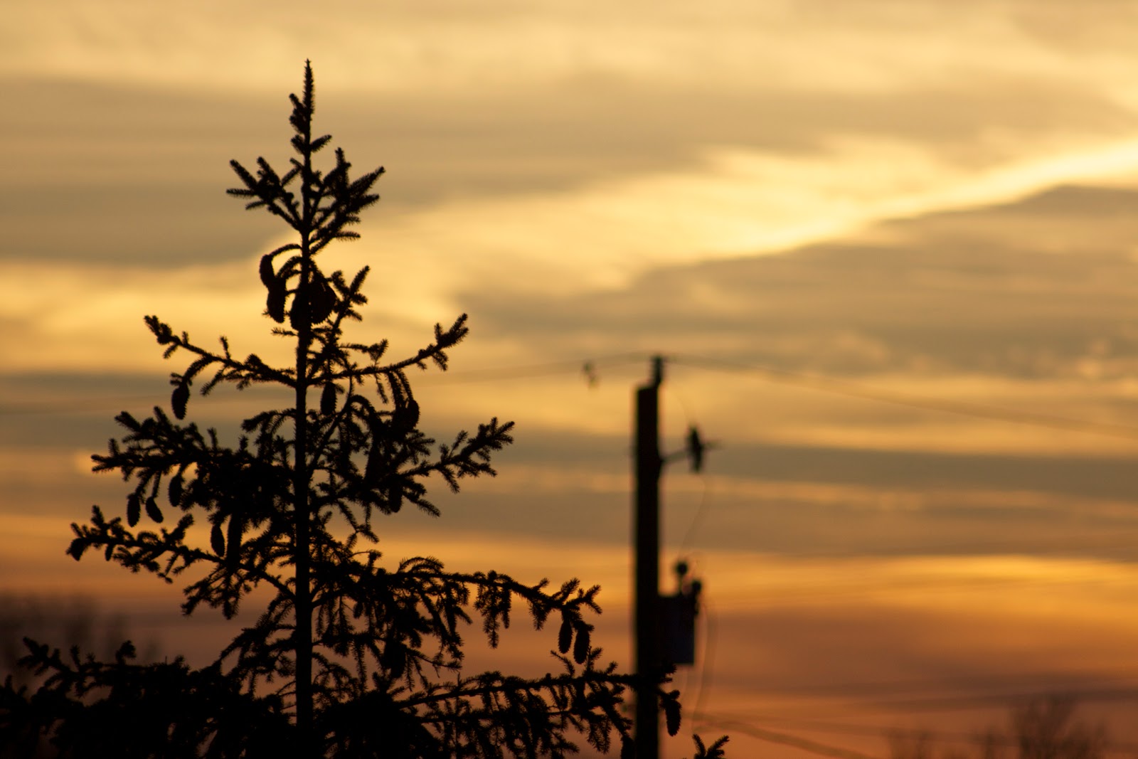 Sunset Photos Experimenting with Depth of Field [Stellar Neophyte ...