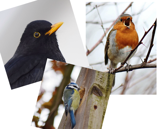 About Rhiannon | Rhiannon Fox