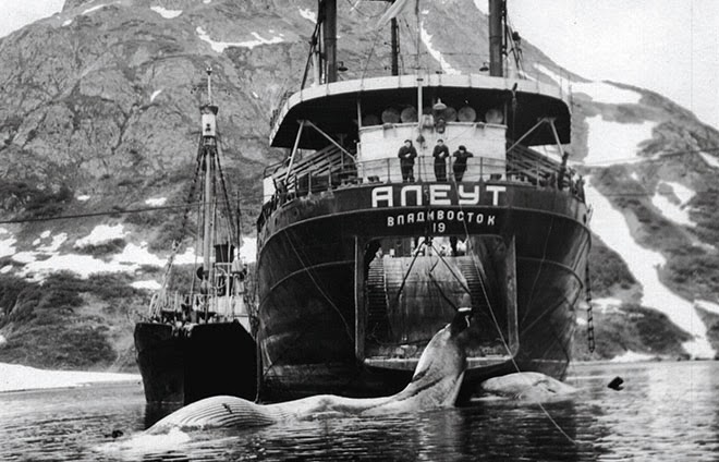 Gender and the sea: Soviet women commanding ships