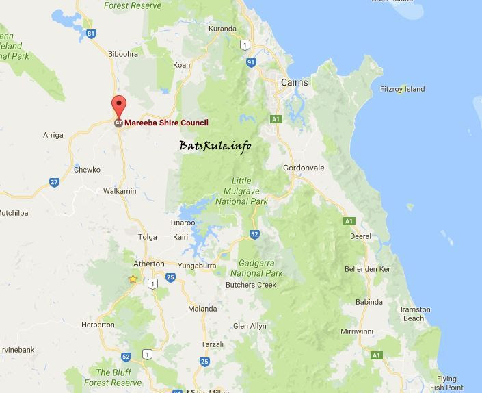 Mareeba Shire Council dispersing flying foxes