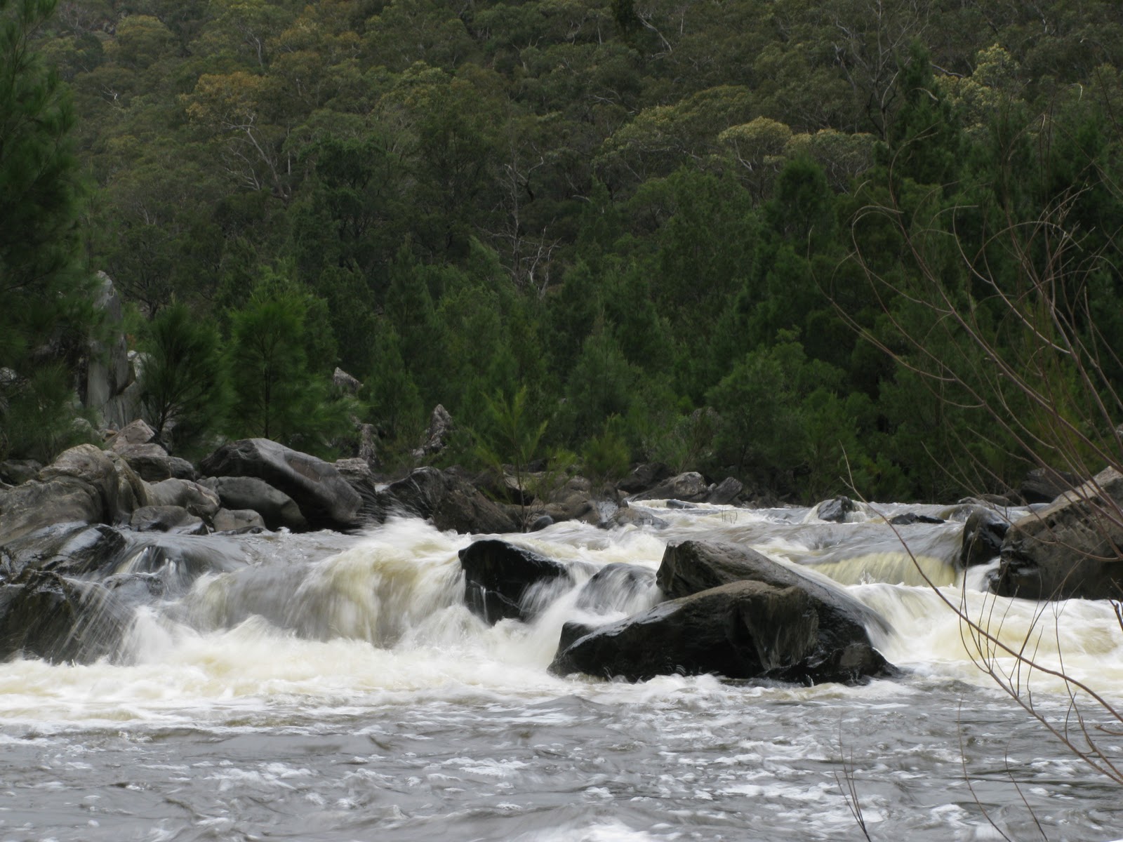Darren M: WELCOME REEF TO SEWELLS POINT