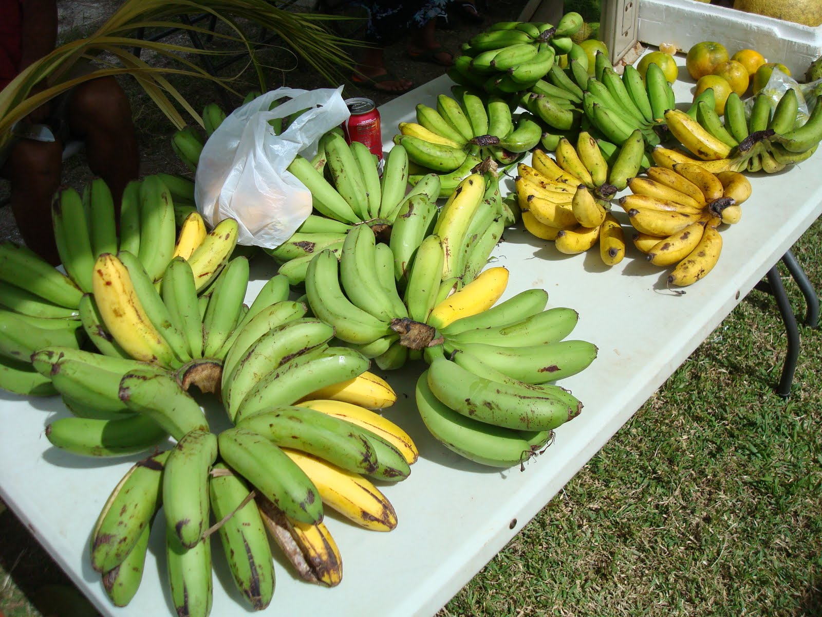 paleric: BANANA FESTIVAL