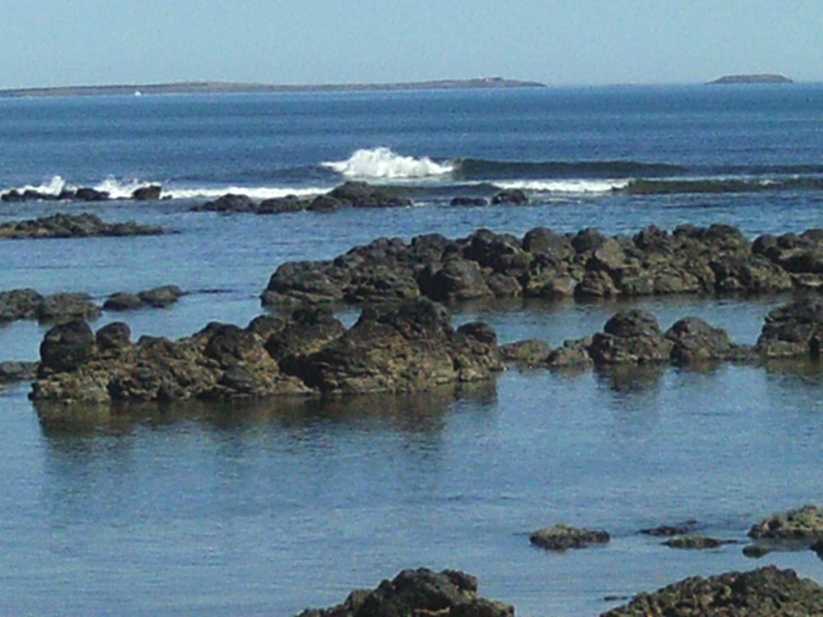 TRACKS, TRAILS AND COASTS NEAR MELBOURNE : Balnarring Beach to Merricks ...