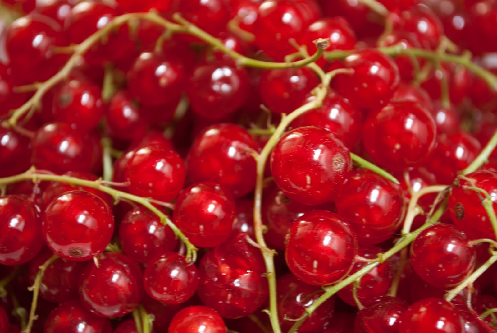 Cycles of Nature: Berry sticky fingers