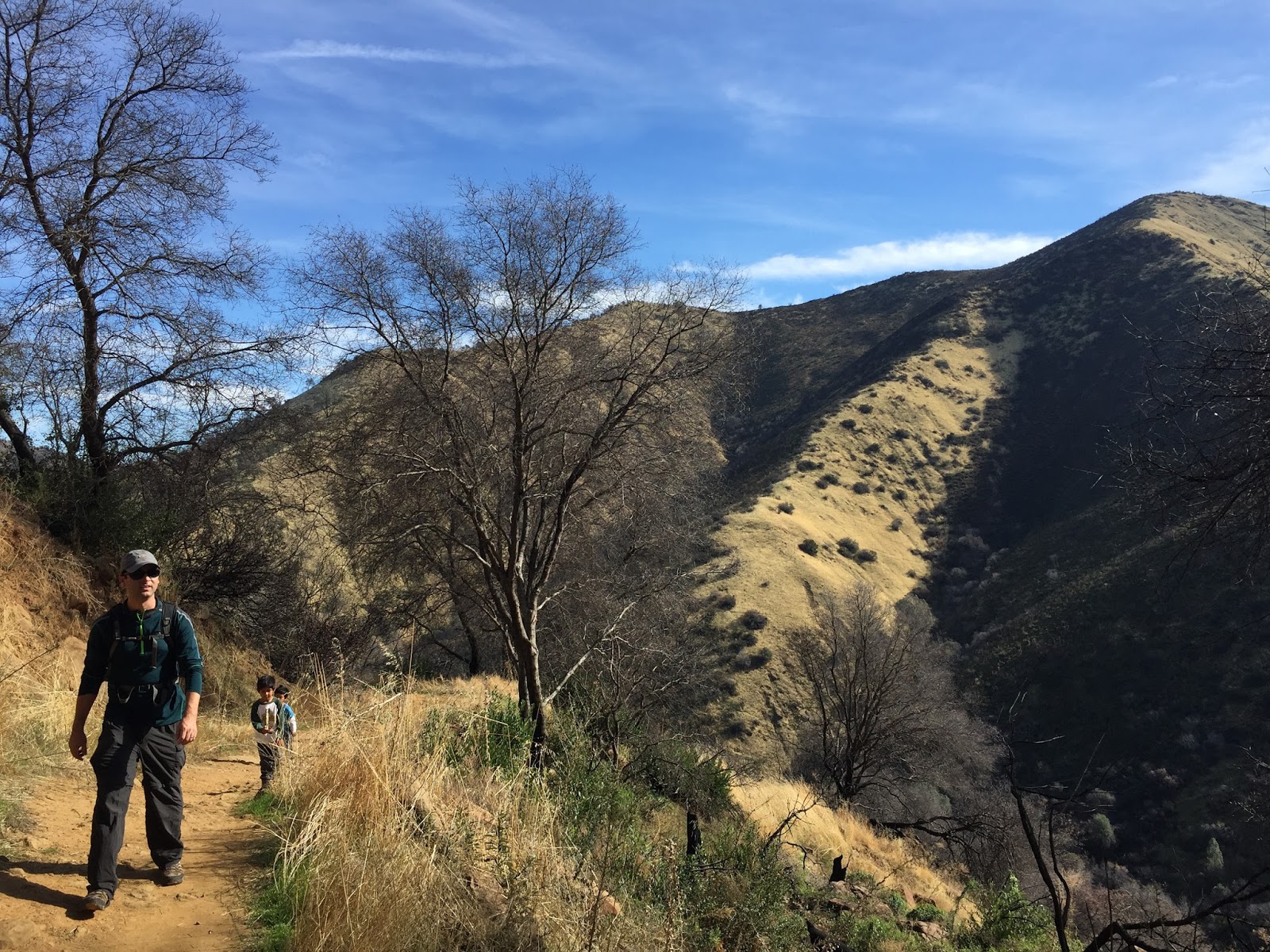 Run-Hike-Play: Hiking Stebbins Cold Canyon Blue Ridge Loop Trail