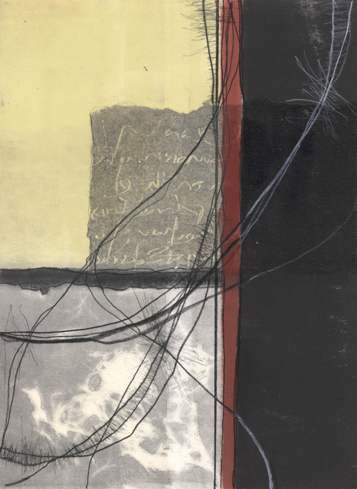 Interview: Susan Hurrell Fieldes