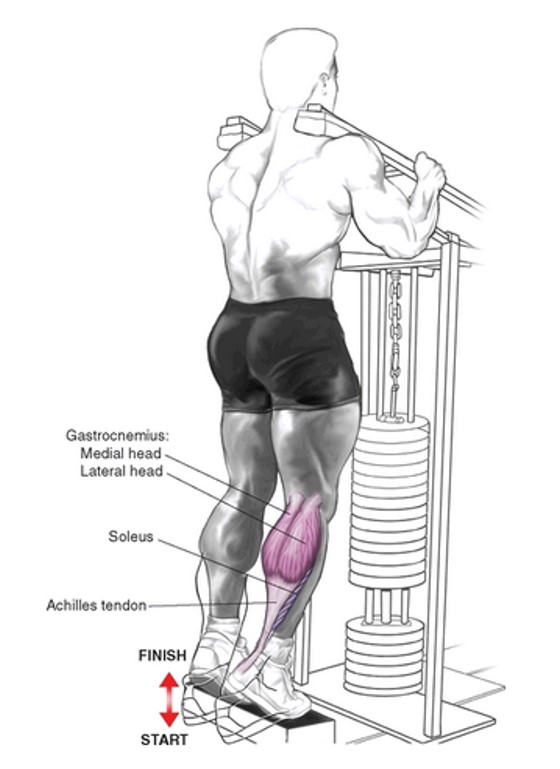 3 Calf Exercises That Show Results ~ multiple fitness