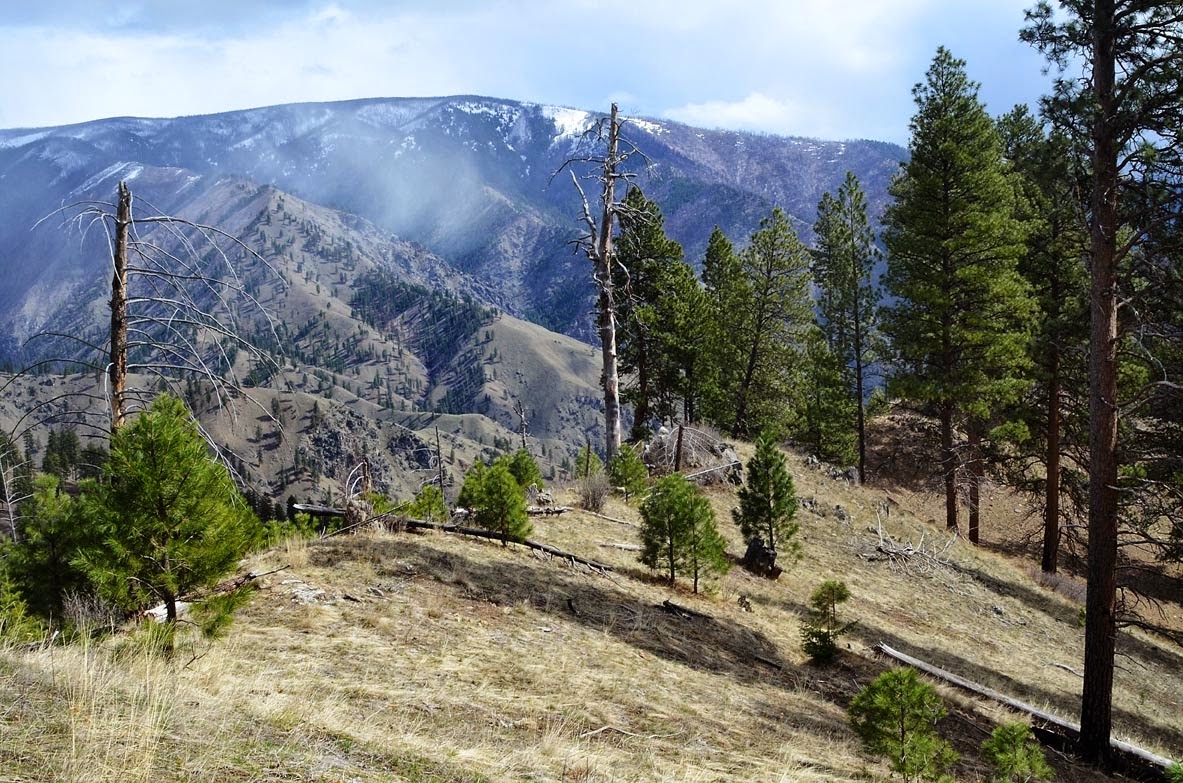 Shane Minton photography