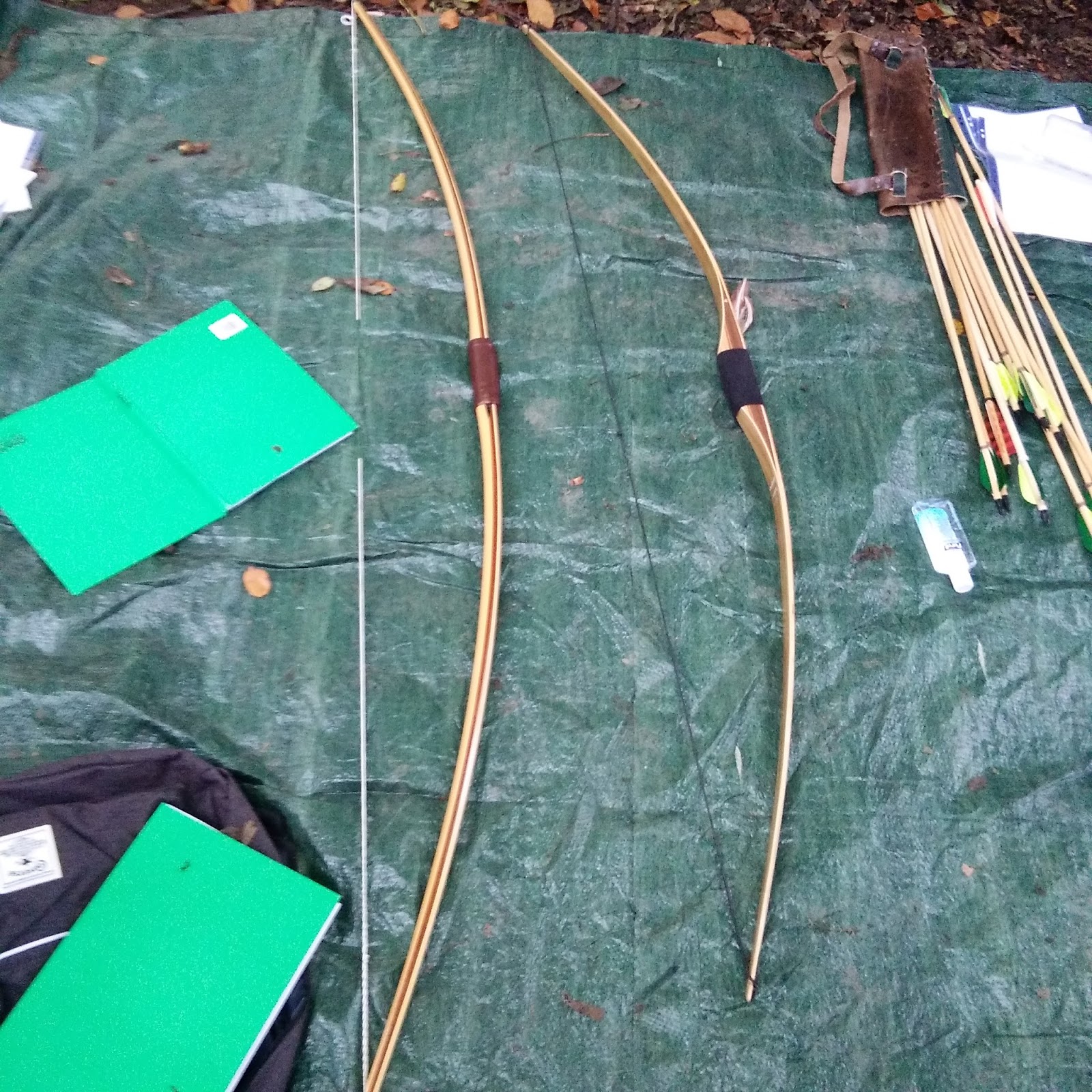 Watching Flying Arrows