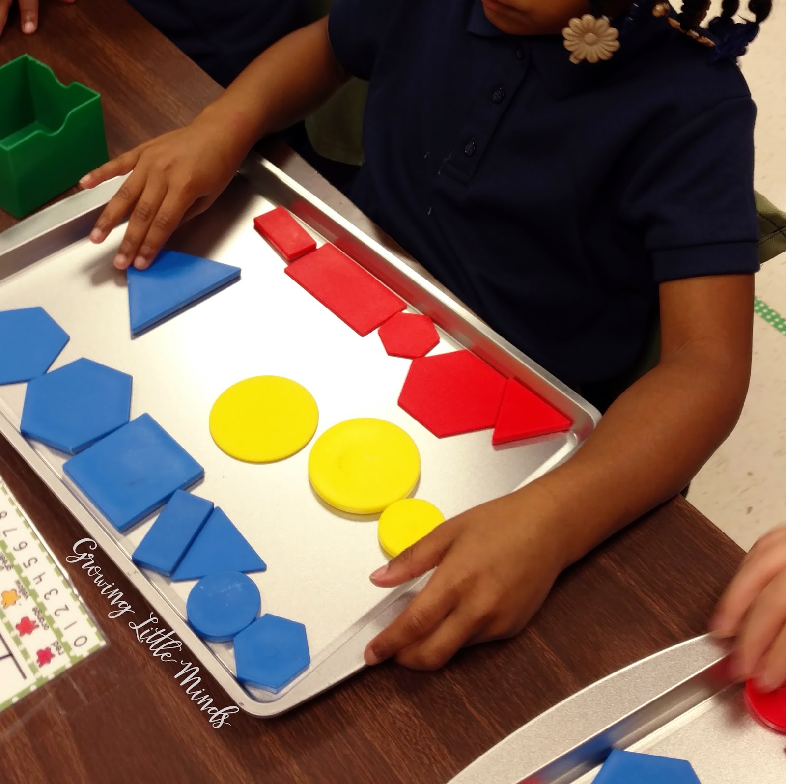 Growing Little Minds: Categorizing and Sorting in Kindergarten