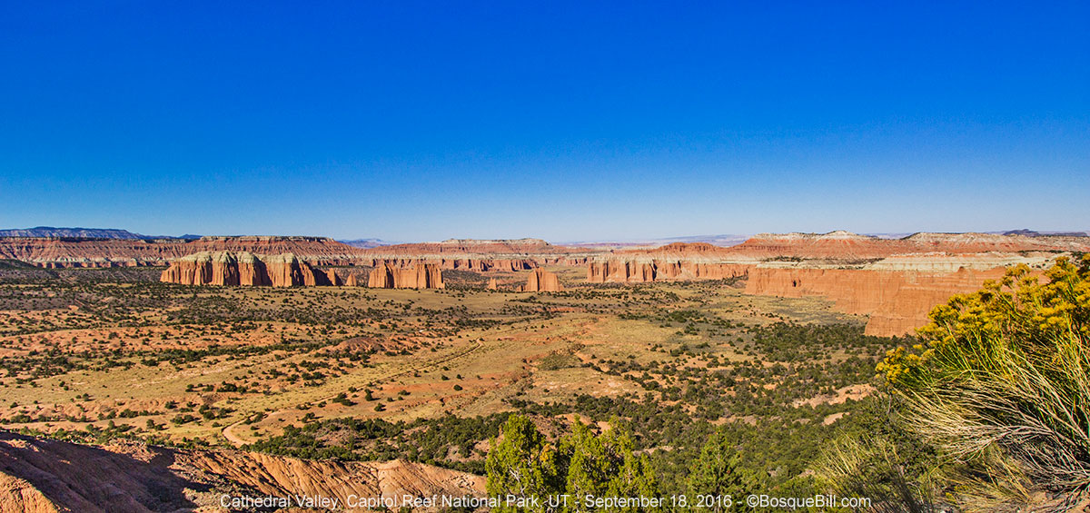 Bosque Bill's Backroads: Hidden Splendor and Cathedral Valley ...
