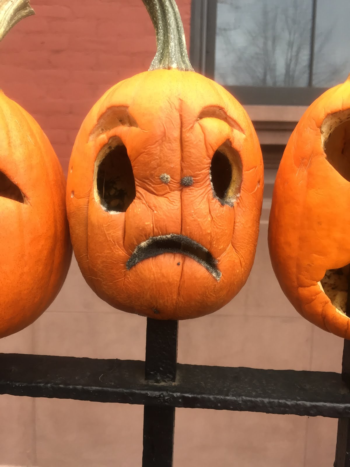 SIGHT: The pumpkin ghouls of Cobble Hill - City Lore
