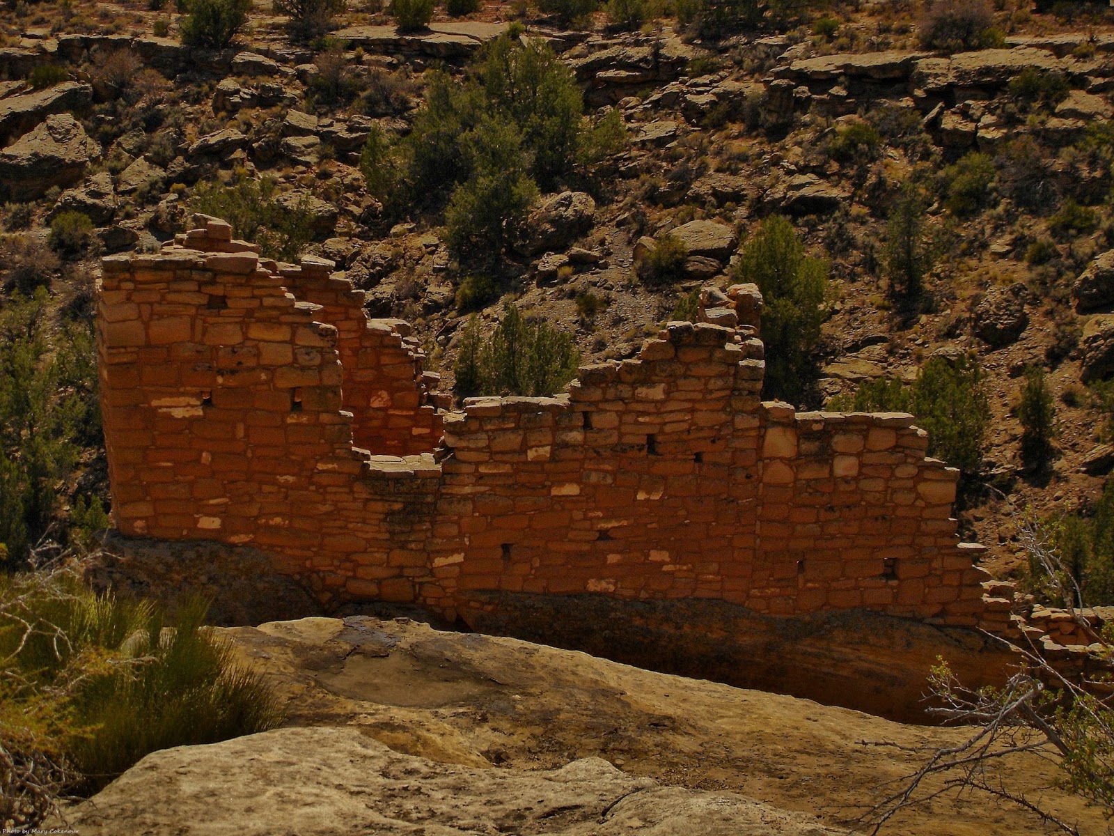 The Southwest Through Wide Brown Eyes: Yes, We Did Make it to Hovenweep!