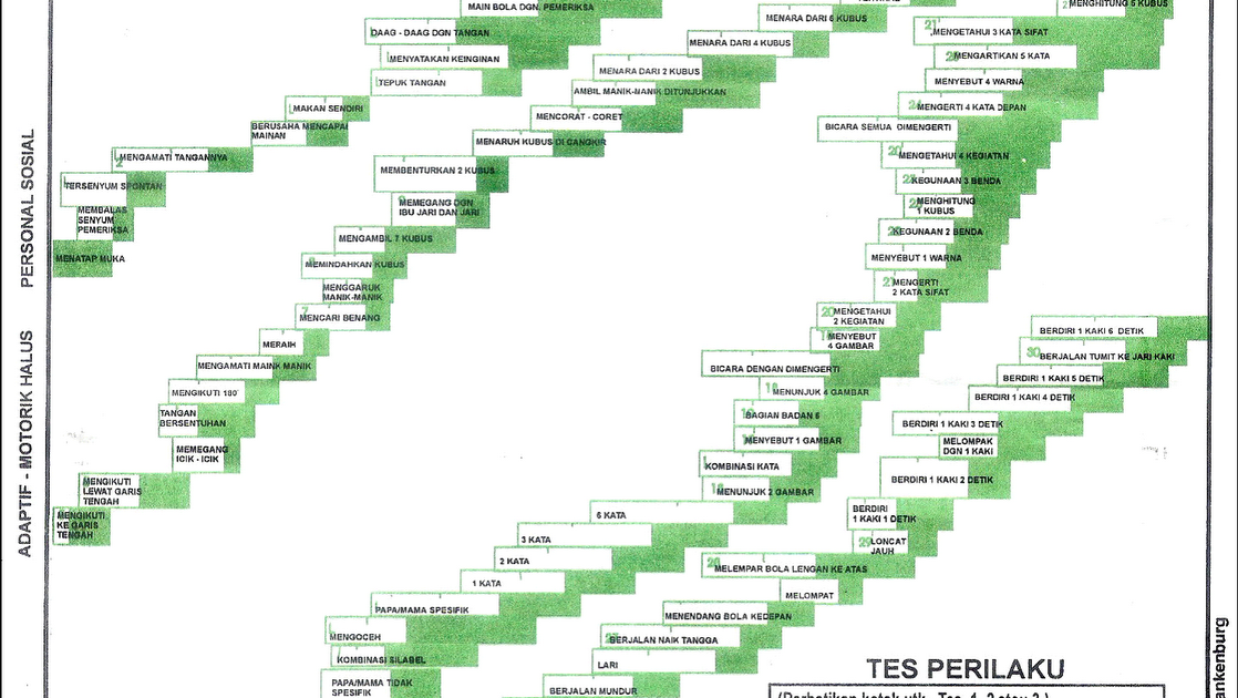 Keperawatan: format Denver II