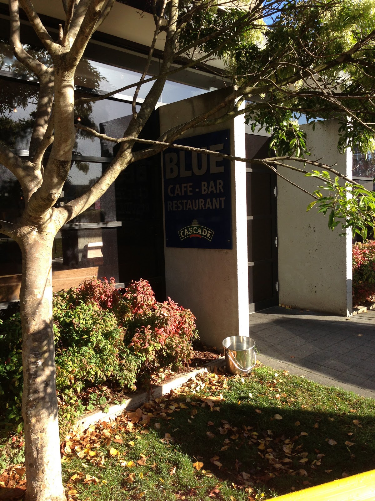 Hello From Tassie: Blue Cafe, Launceston Tasmania