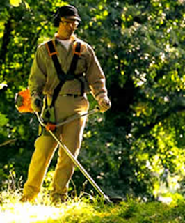 OSHA Compliance Manual: Weed Trimmer Safety