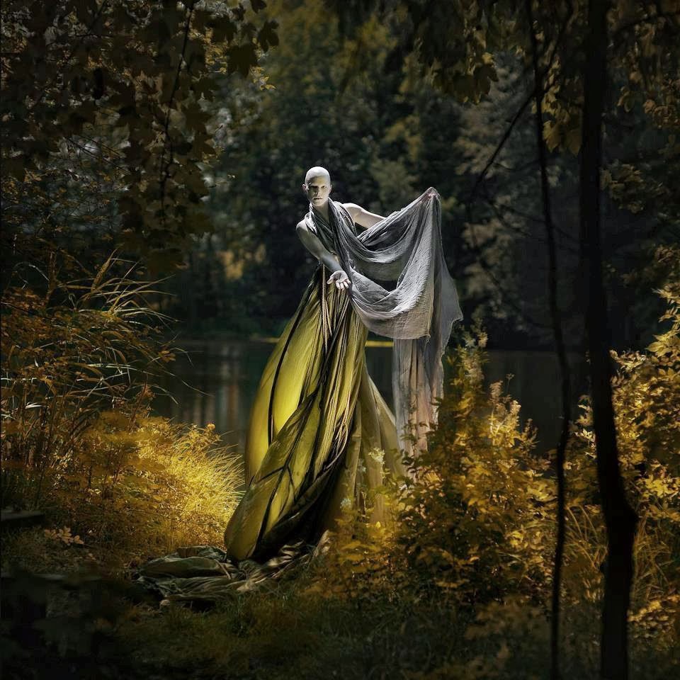 Cromofora La ( Paloma) Contemporary Online Art Gallery: 12/06/13