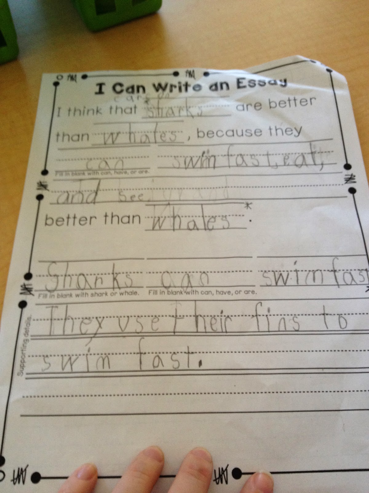 Bonnie Kathryn: Kindergarten 5 Paragraph Essays