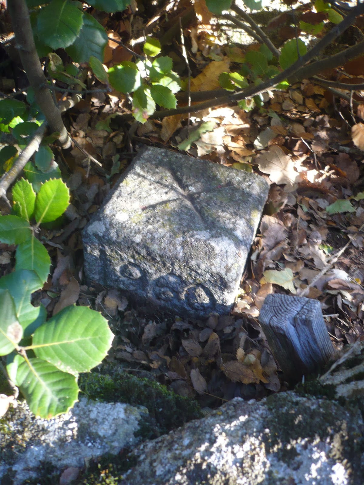 Histoire de Palol: Le relief de Palol