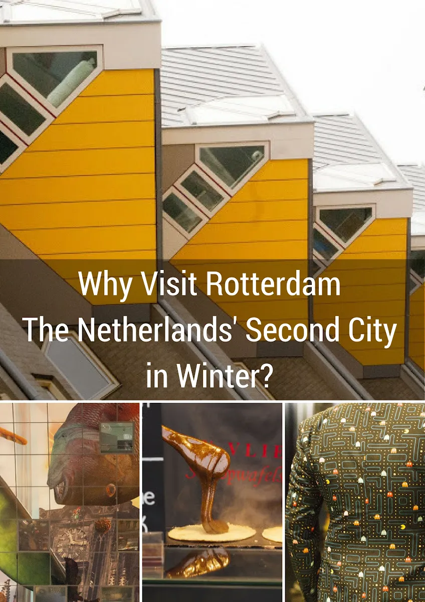 How to See the Best of Rotterdam in Winter | Sidewalk Safari | Part ...
