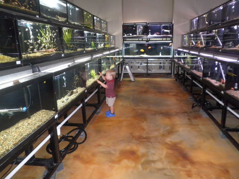 McLain Life: Day 2 With Alicia - Fish Gallery