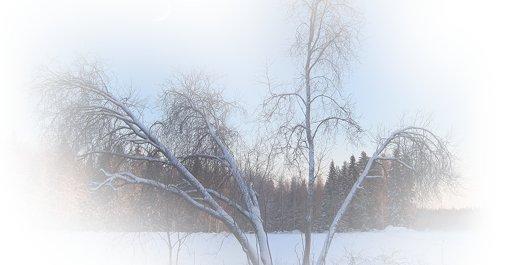 Tube Guismo la passion de créer