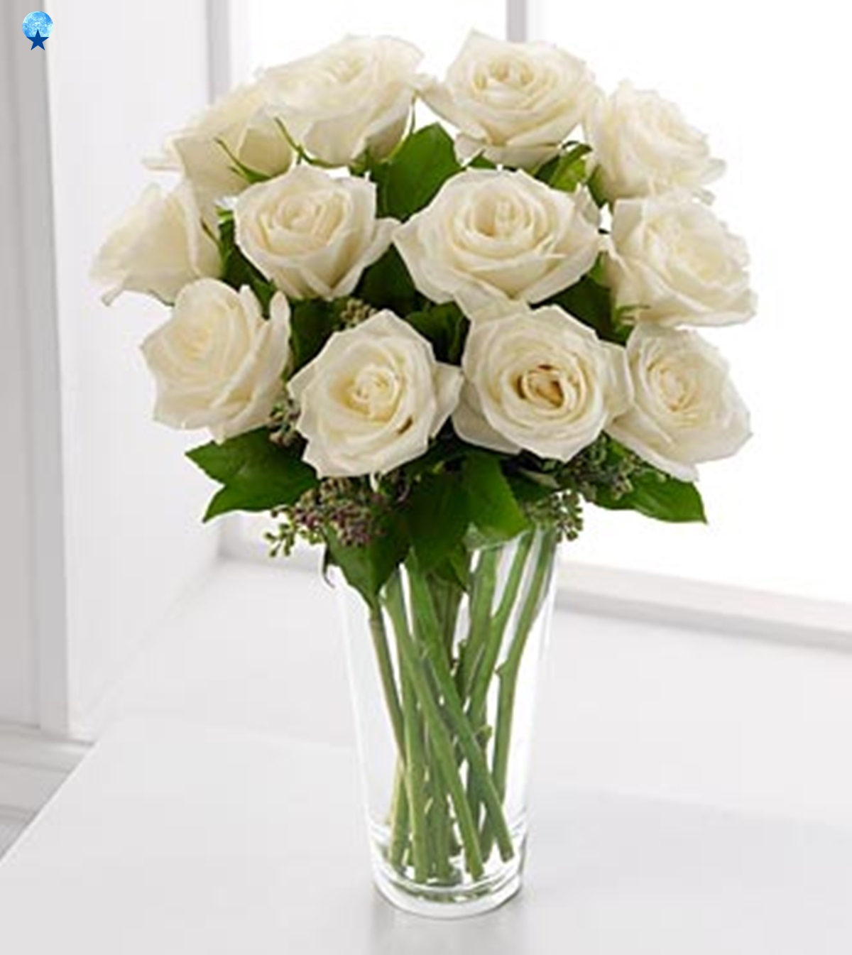 HD Flowers: White roses | Flowers | Rose | White Bunch Rose | Blooms