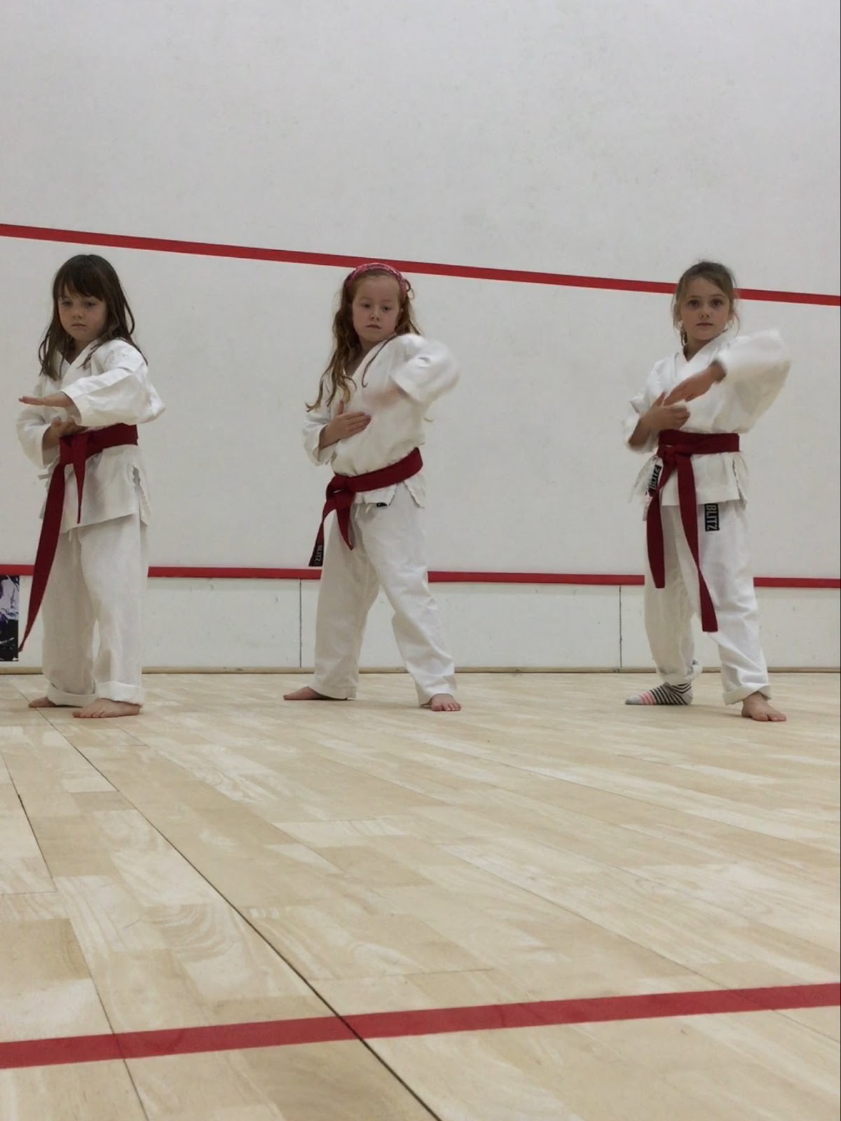 Oh Kami Karate Club: Isla, Orla and Emma training #ohkamikarate # ...