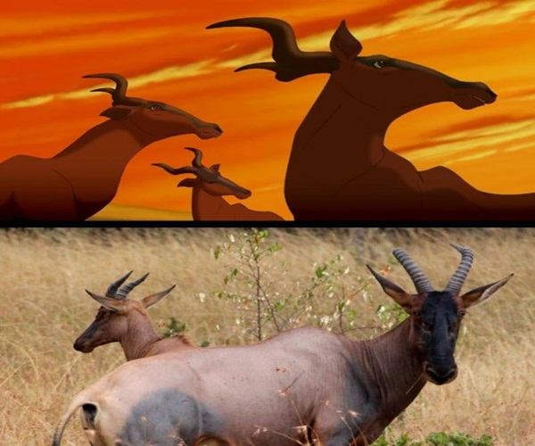 Cartoon vs Real life ~ Big Fun - The Fun Blog