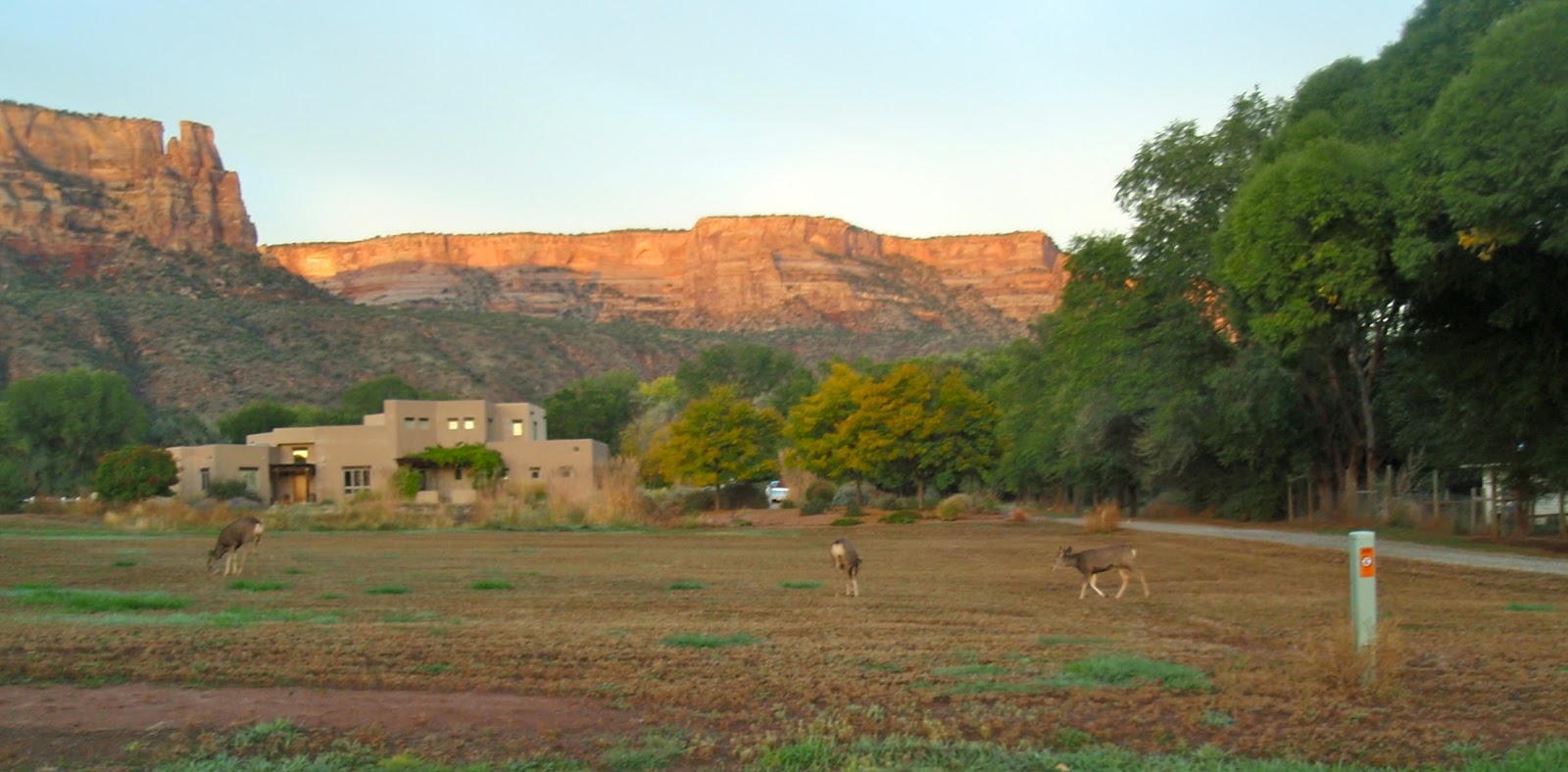 Dian's Timpanalley: Redlands of Grand Junction, Colorado