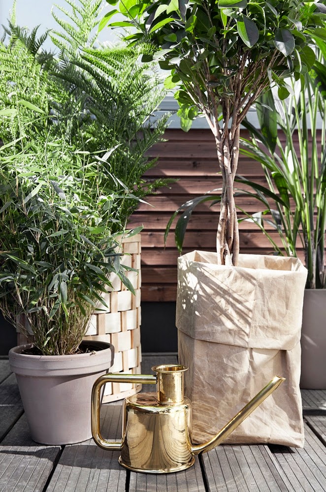 découvrir l'endroit du décor : UN BEAU BALCON