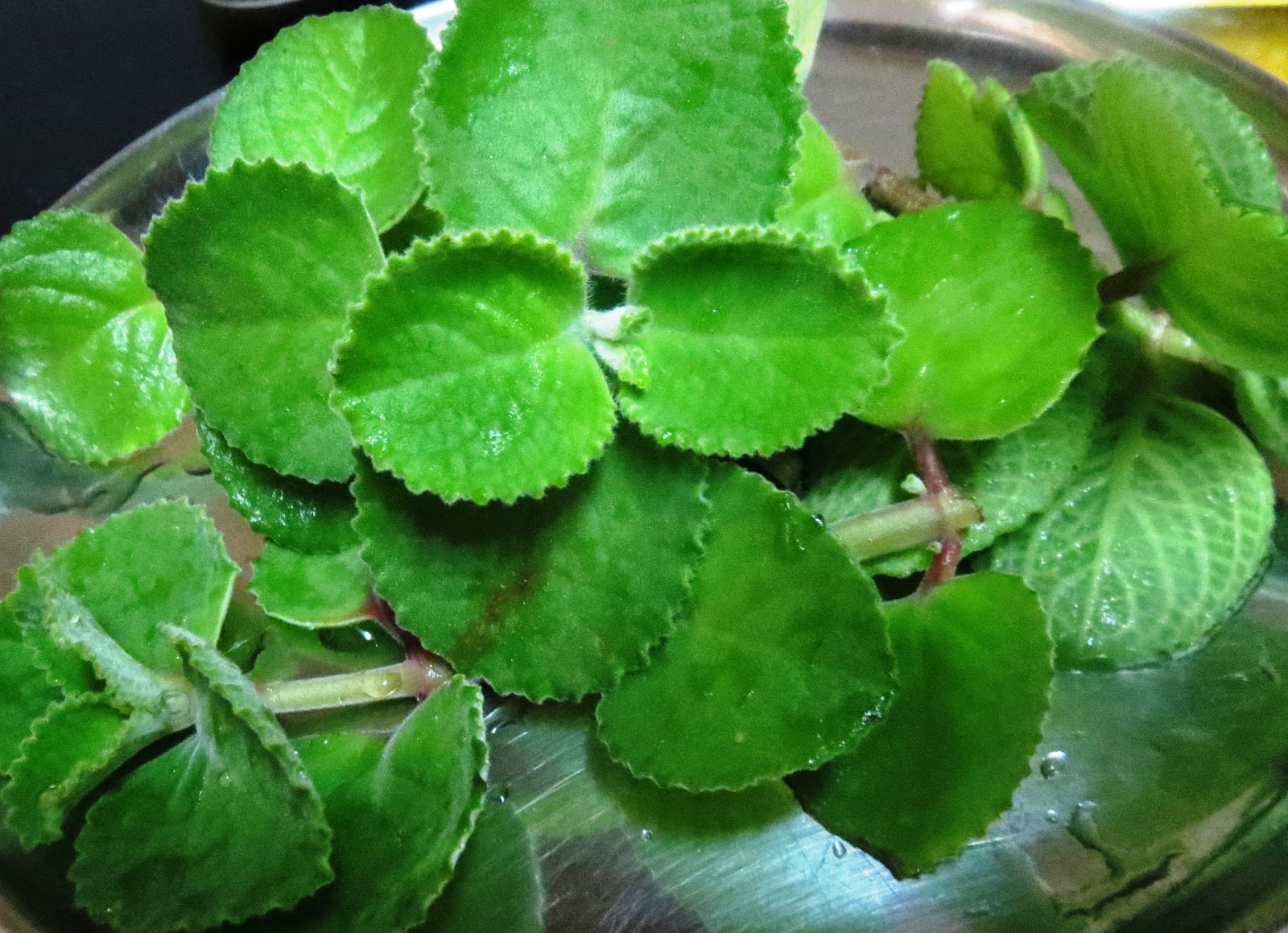 ಅಡಿಗೆ - Adige: Dodda Patre Tambuli + Paratha