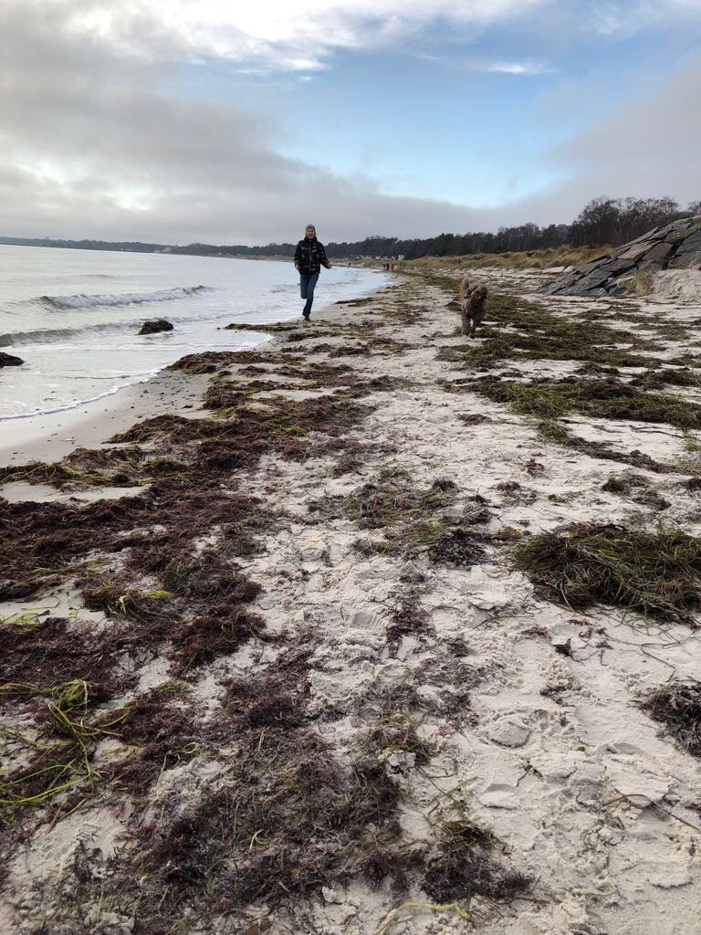 Erik Dahlbäcks bildalbum: Kämpinge strand