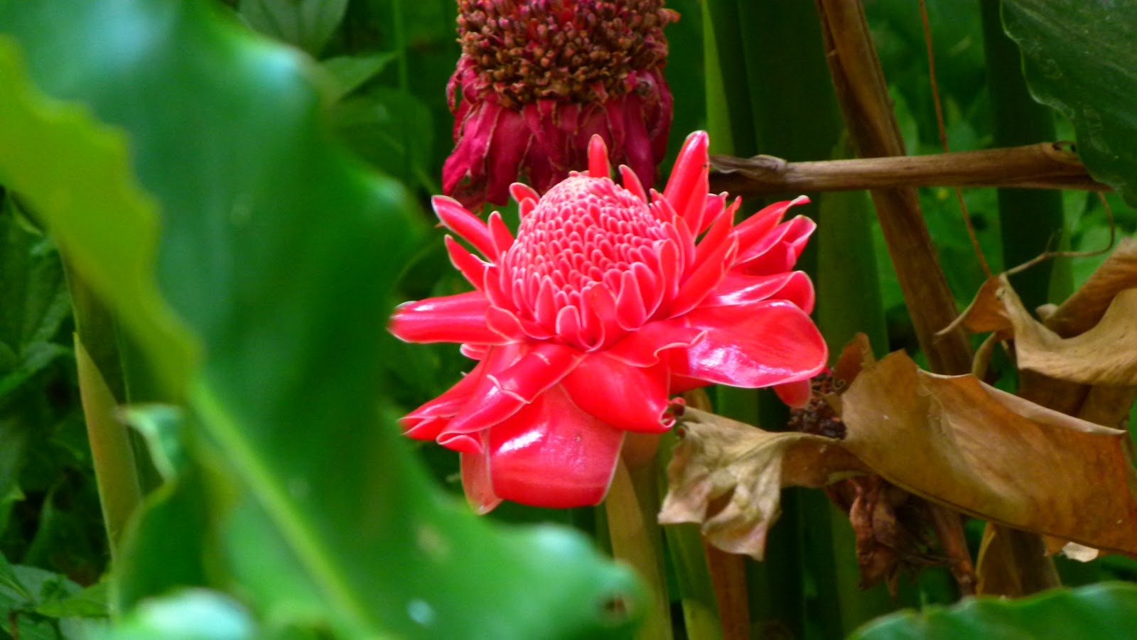 LILIW, LAGUNA - Lakwatserong Tsinelas