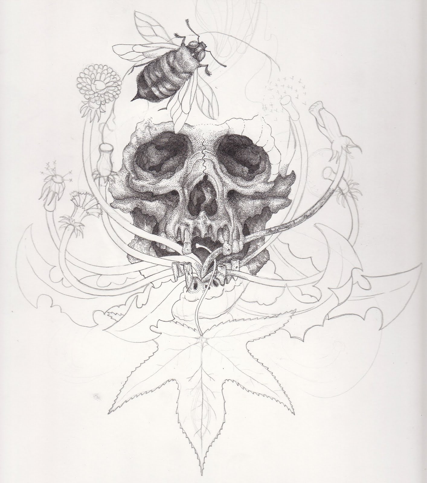 Mister Beaudry's drawings...: Skull with Bee.