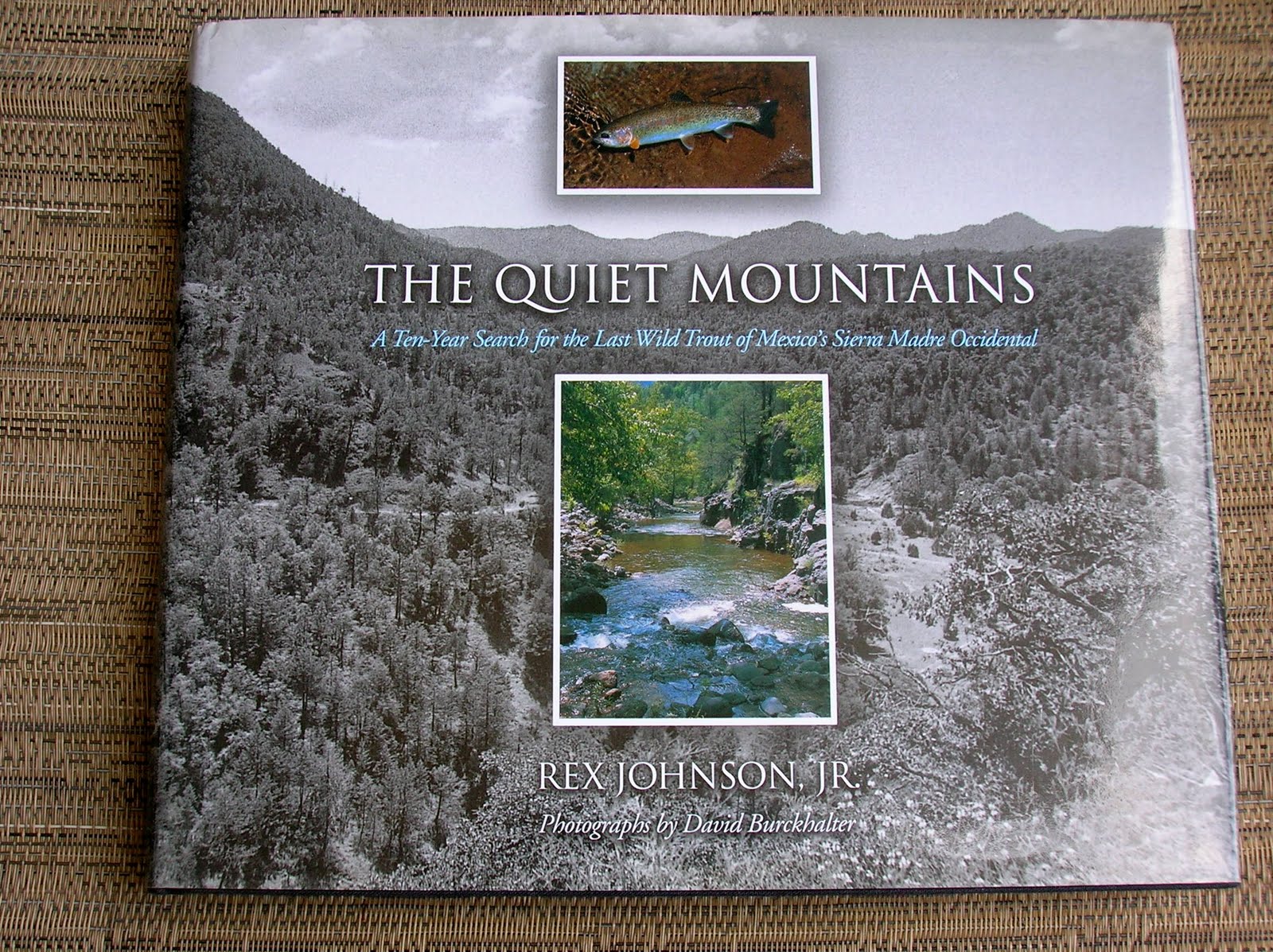 Small Stream Reflections: May 2011