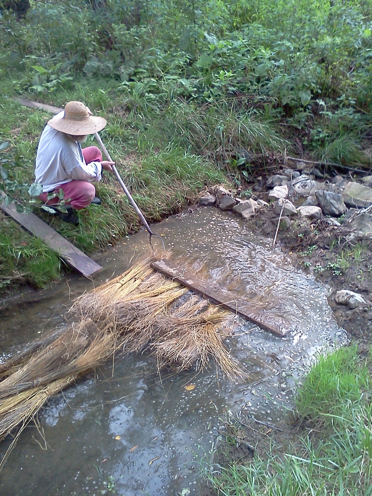 Frontier Culture Museum of Virginia: Retting Flax