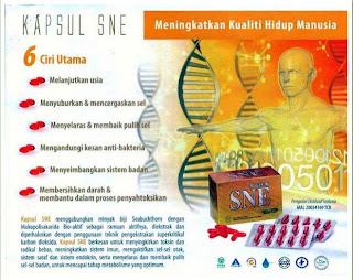 Zatie Beauty Malaysia: SNE Capsule "ubat segala penyakit"