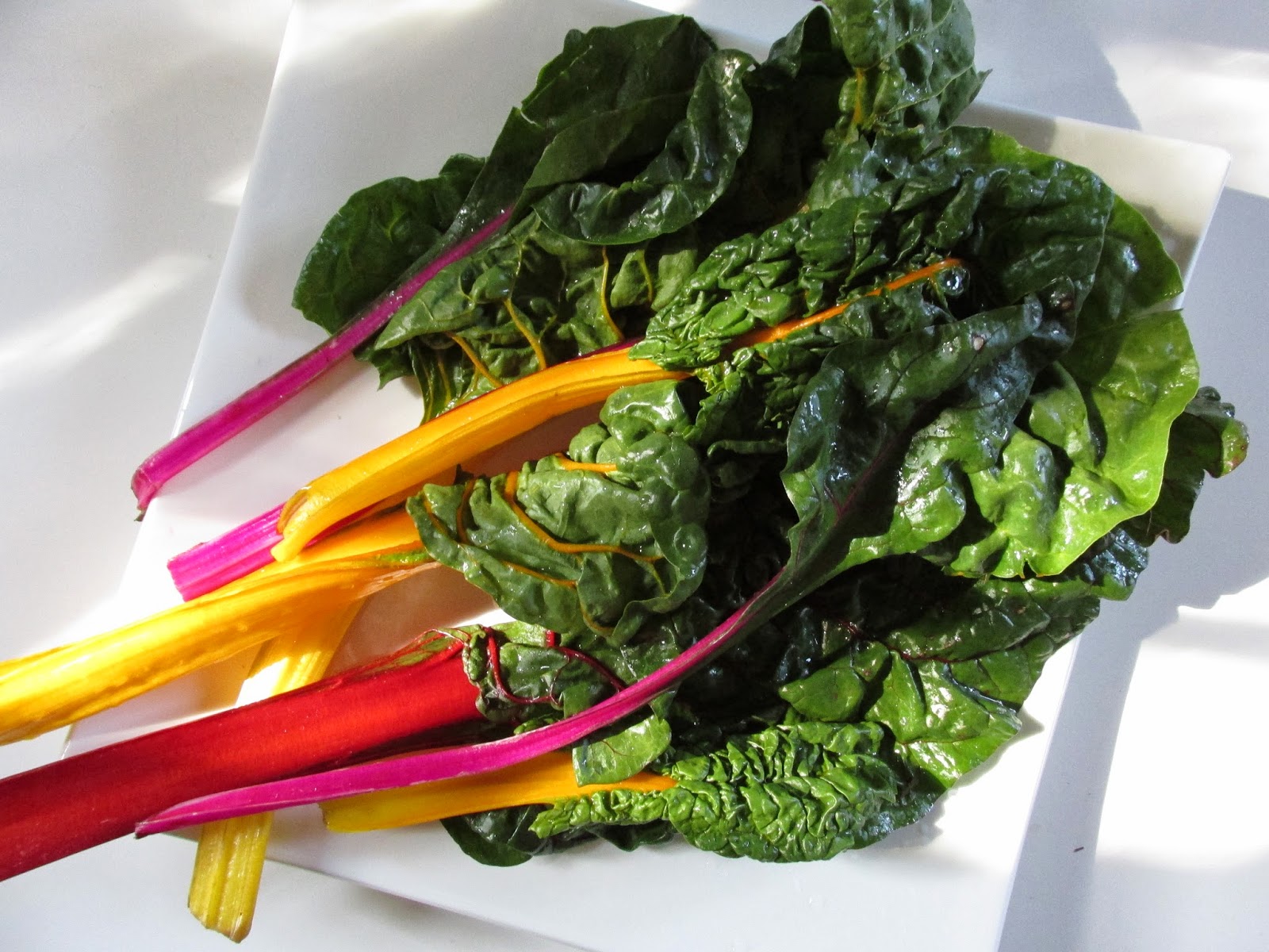 Lisa Pardo Kitchen : Rainbow Chard (and what to do with it)