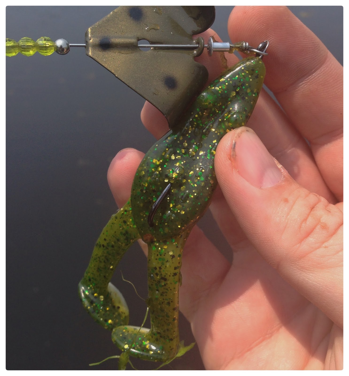 Bass Junkies Frog Pond: V&M Cyclone Series Buzz Frog Review