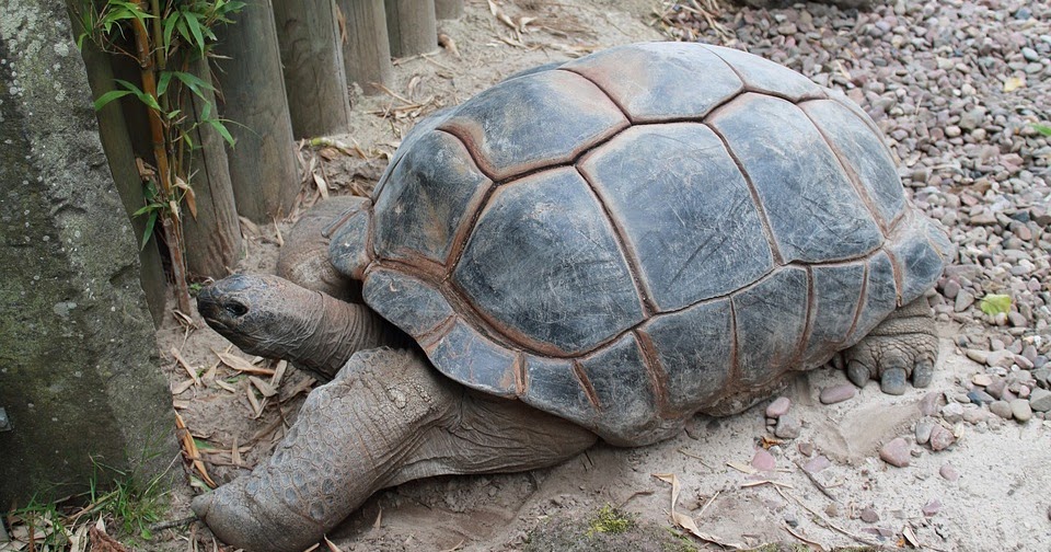 Edita Olaizola: Exoesqueletos y ética