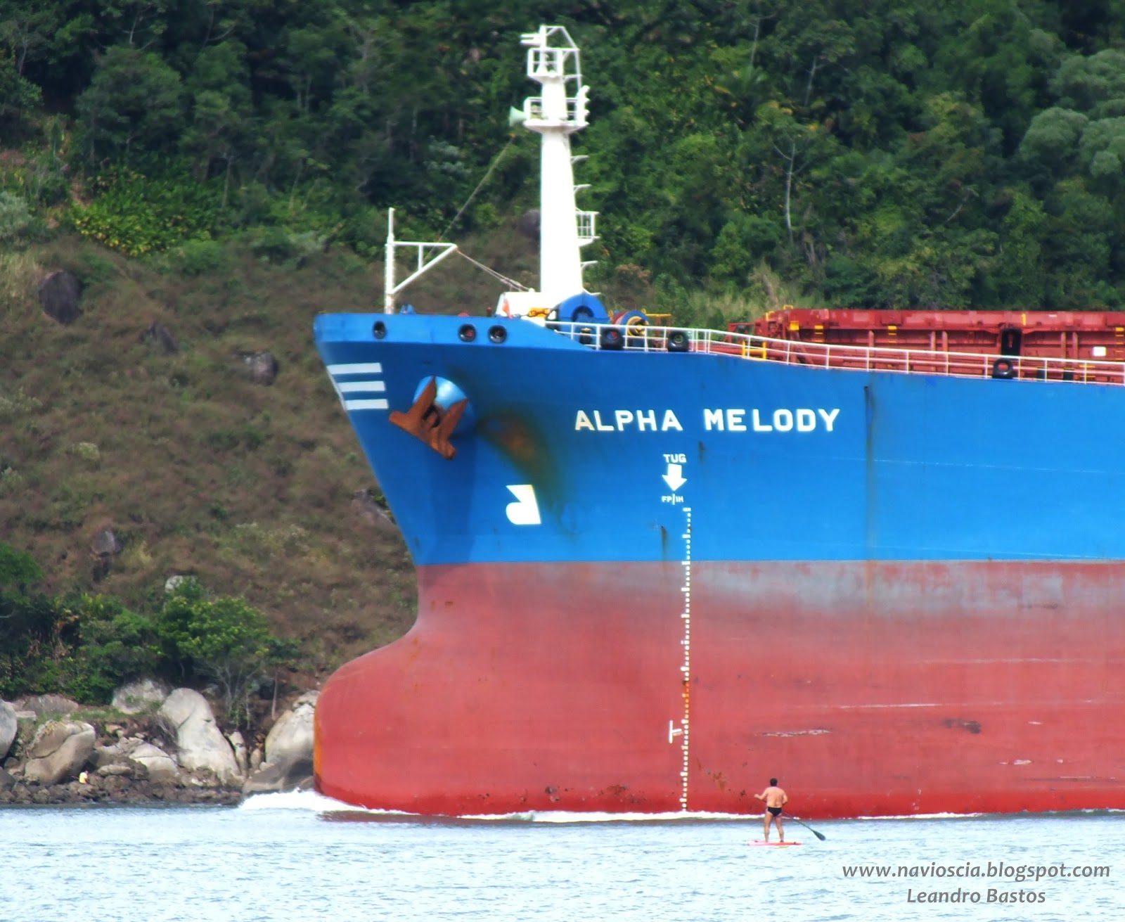 Navios de Santos & CIA: Navio ALPHA MELODY