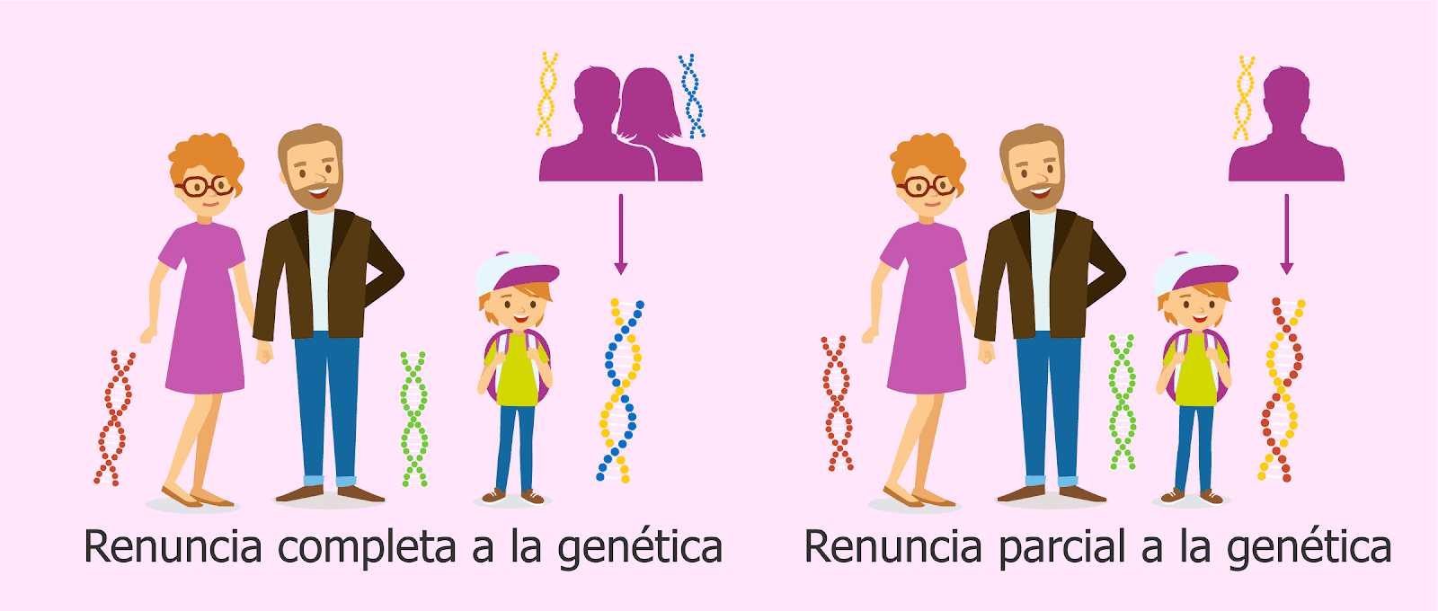La Naturaleza Y Sus Diversidades: herencia genetica