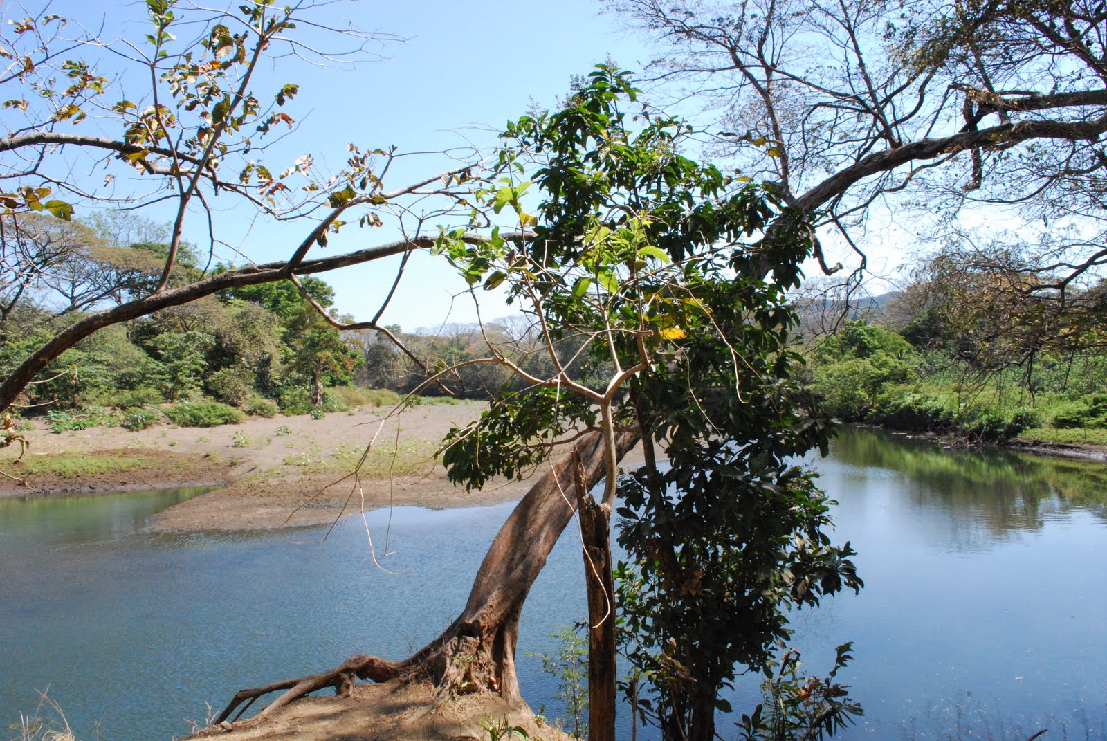 Wanderlust Traveler: Nosara and Nicoya, Costa Rica