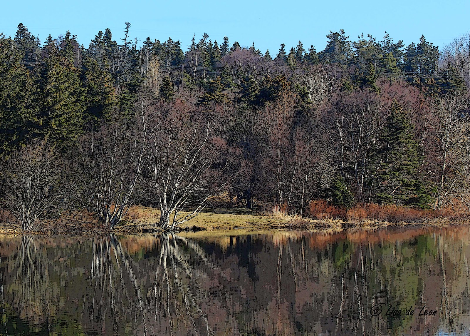 Birding with Lisa de Leon: A Glorious Morning at Long Pond