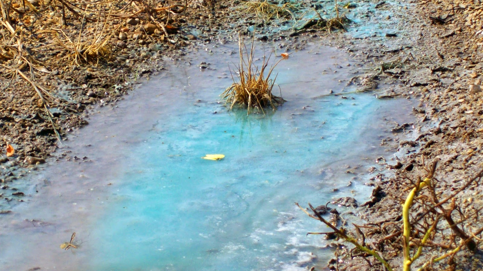 Wild River Academy: We Visit DePue, IL and a Superfund Site