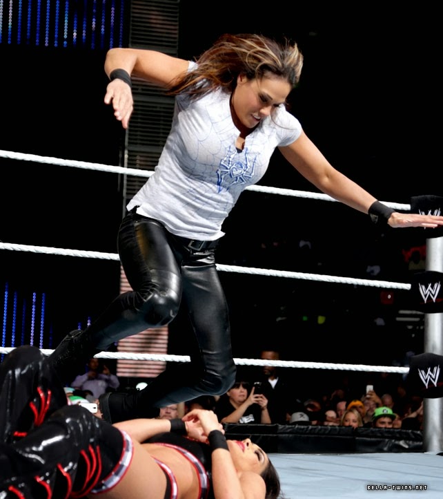Wwe Wrestling Raw Smackdown The Divas The Bella Twins Wwe Friday