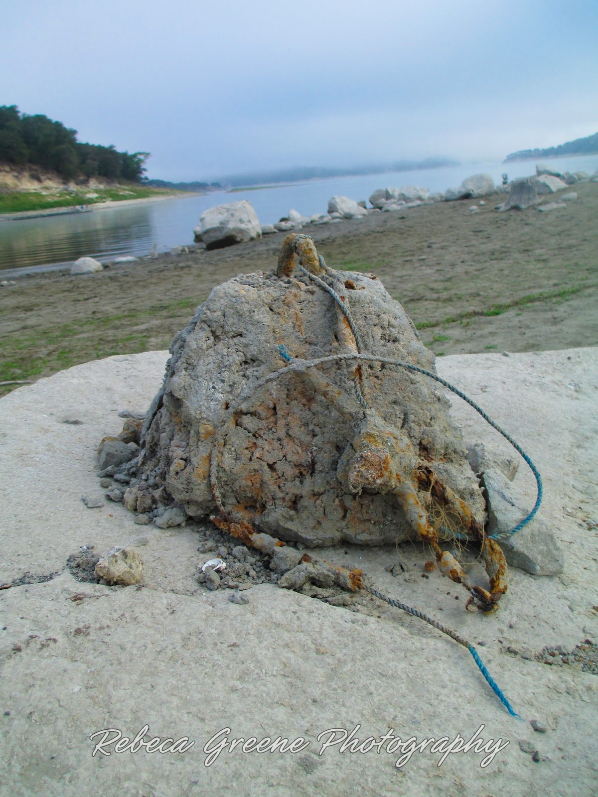 Who's Z? Creations///Rebeca Greene Photography: And Then She Walked ...