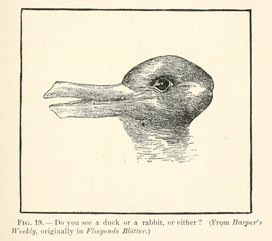 Earth and Space News: Ambiguous Duck Rabbit Figure Shifts Visual ...