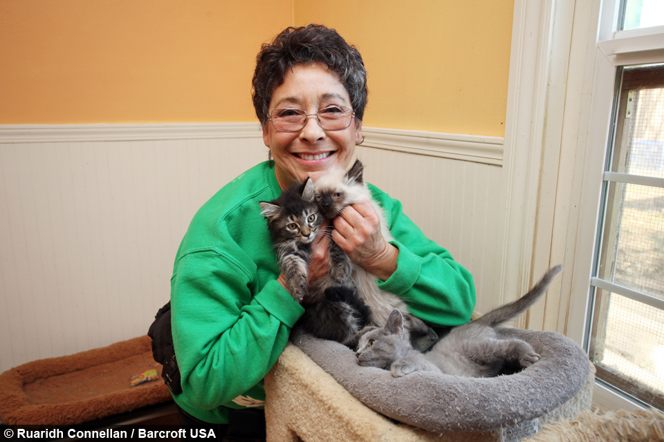 White Wolf : Ultimate Cat Lady: Woman Shares Her Home With 1,100 Rescue ...